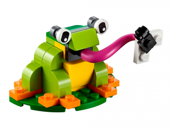 Мини-набор LEGO Уникальные наборы 40326 Лягушка - купить в Сети ...