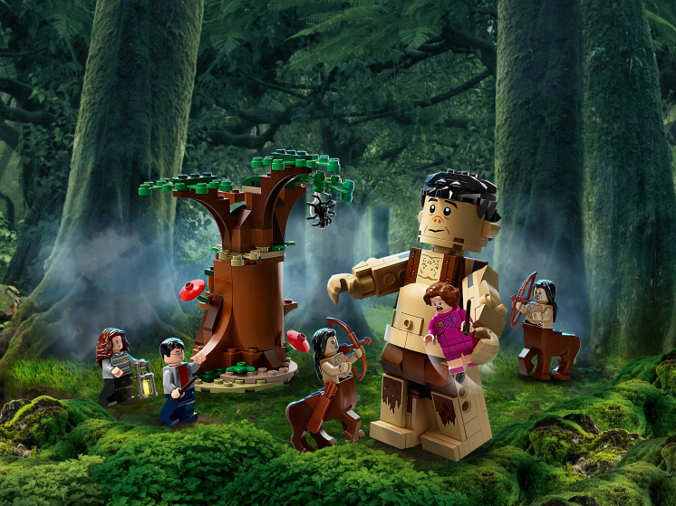 Конструктор LEGO Harry Potter (Гарри Поттер) 75967 Запретный лес: Грохх ...